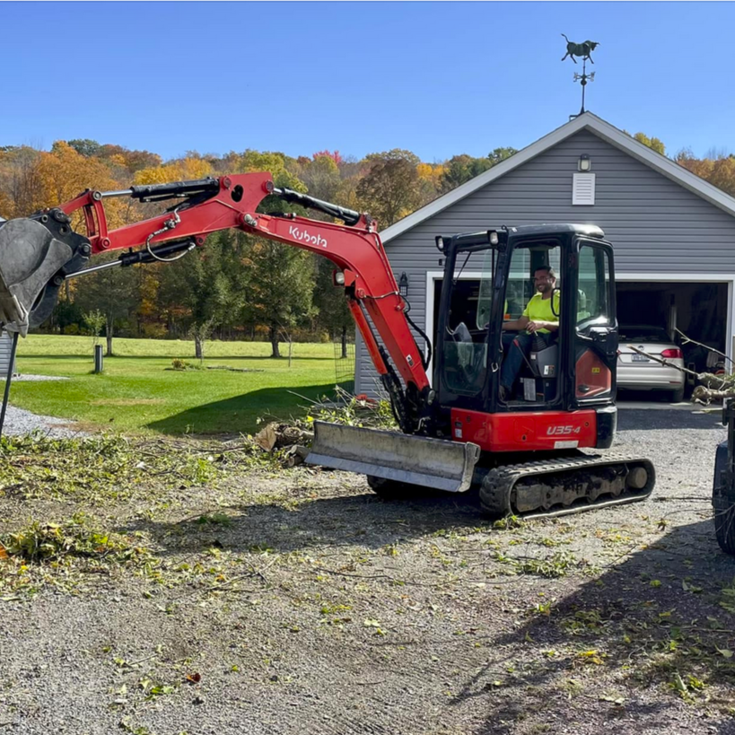 Photo Gallery – North Country Tree Surgeons